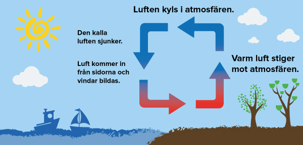 Vindar – läromedel till lektion i fysik åk 4,5,6